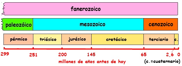 La Biografía de la Vida 43. El Cretácico y sus plantas | El Cedazo